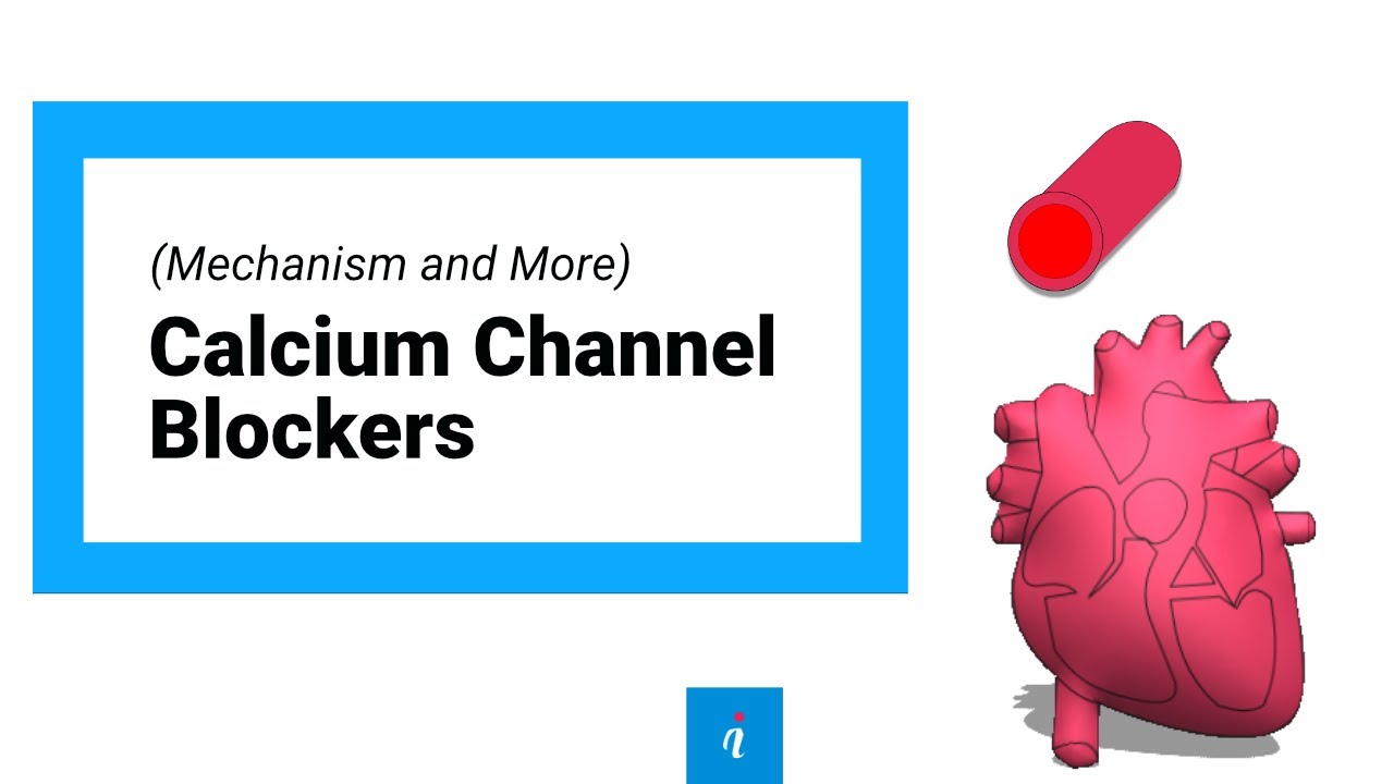 Calcium Channel Blockers (with animation) - YouTube