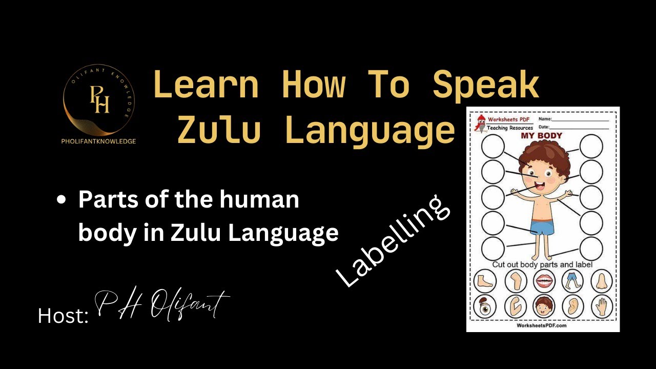 Lesson 8 - Parts of the Human body - YouTube