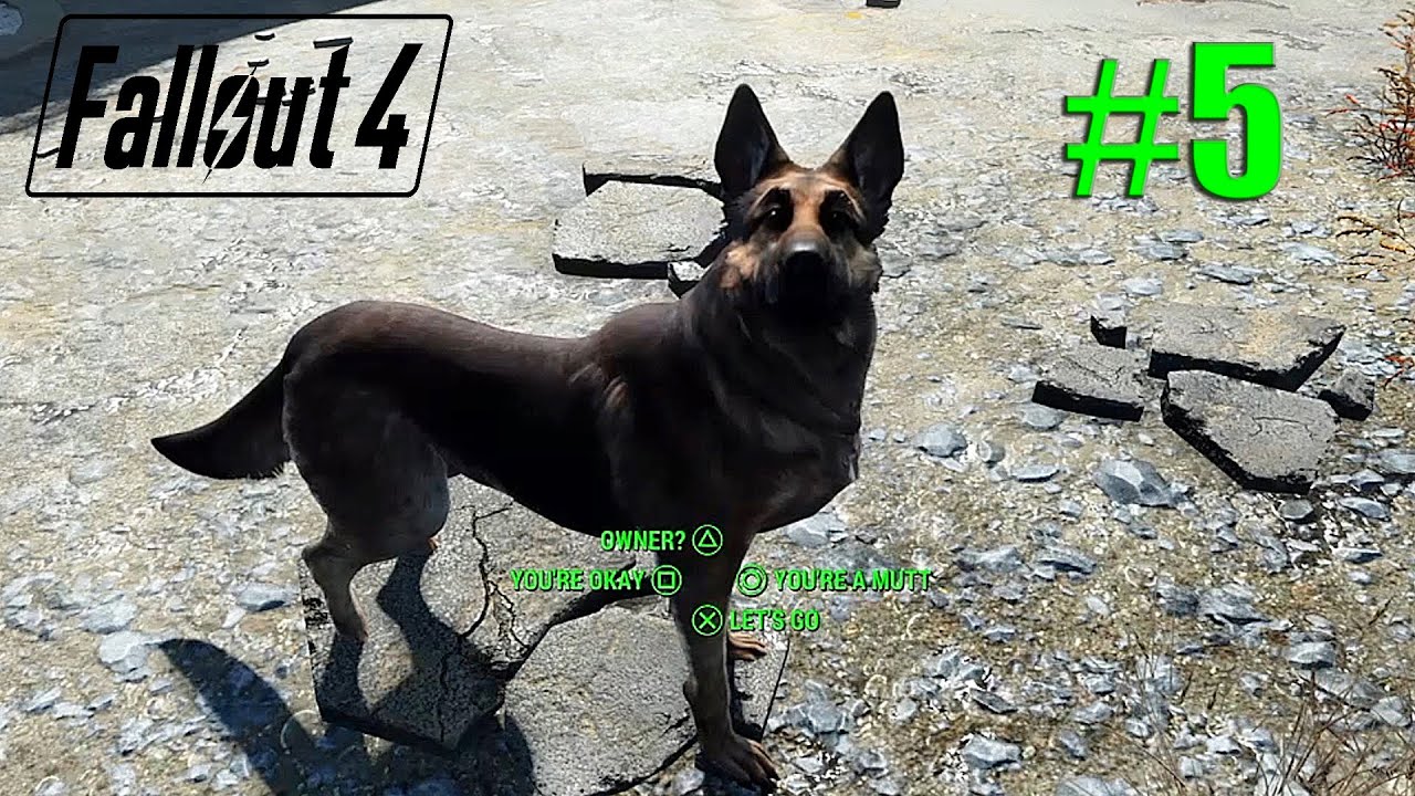 Fallout 4- Finding Dogmeat - YouTube