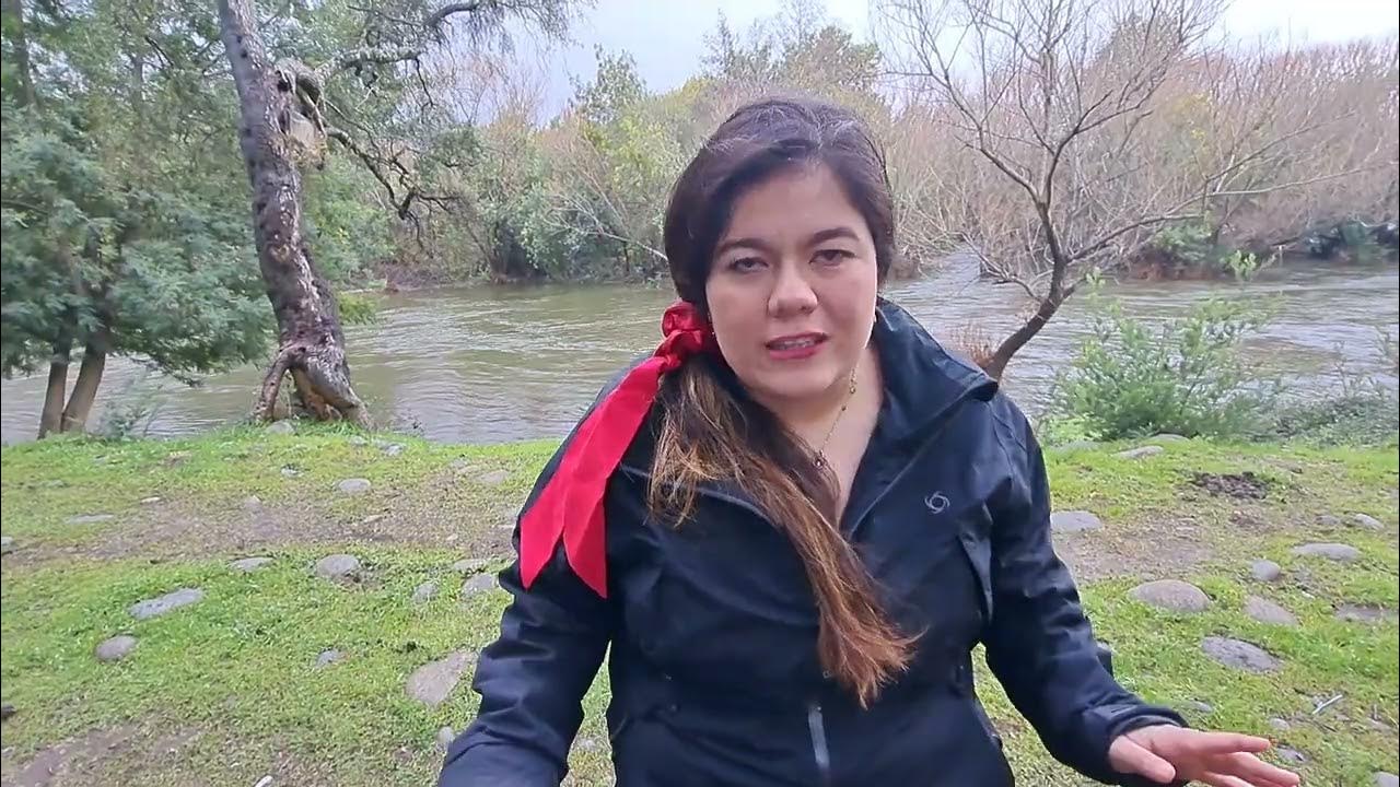 LA MANGA GASTRICA ¿PRODUCE EFECTO REBOTE? - YouTube