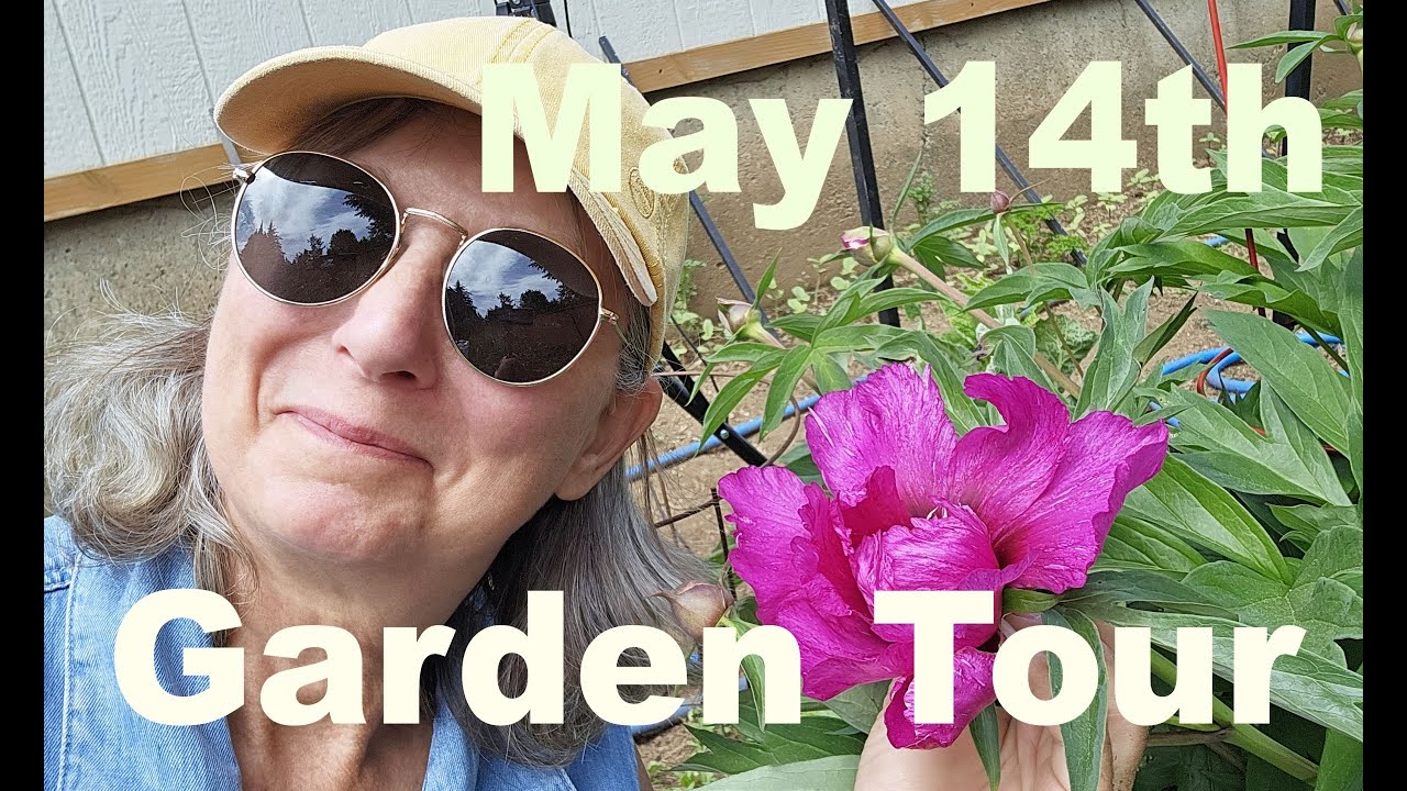 Mid May Garden Tour. Did I Have Flowers for Mother's Day? - YouTube