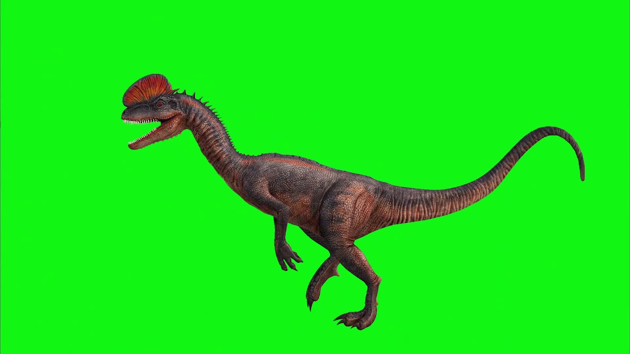 Dinosaur 360 Degree Green Screen | 4K | Non-Copyrighted Clips - YouTube