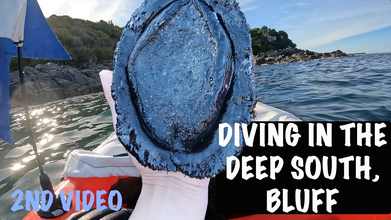 FREE DIVING FOR PAUA (ABALONE) / BLUFF, SOUTHLAND / NEW ZEALAND - YouTube