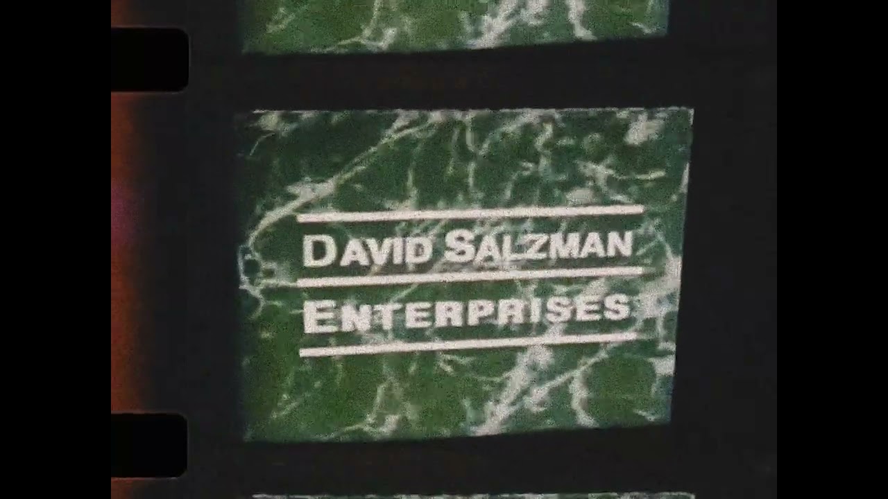Telepictures Productions/David Salzman Enterprises/Warner Bros ...