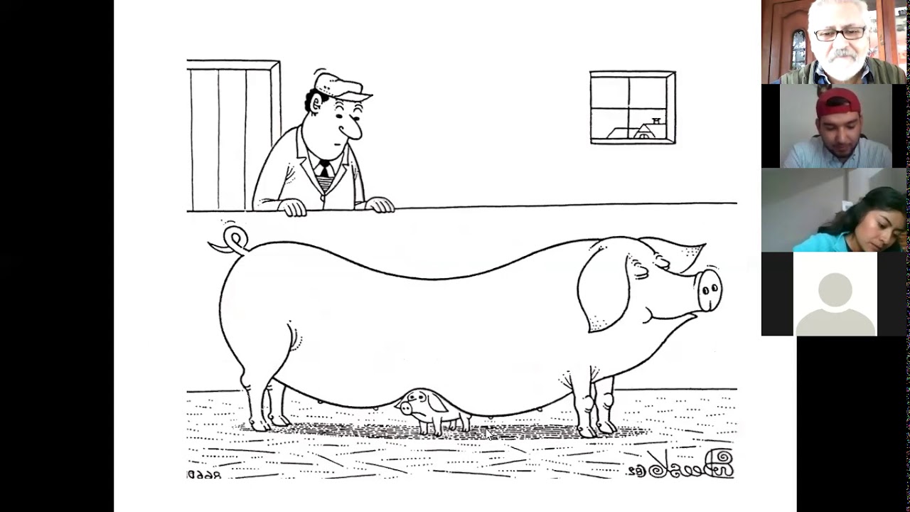 PARTO DE LA CERDA 1 (CLASE) - YouTube