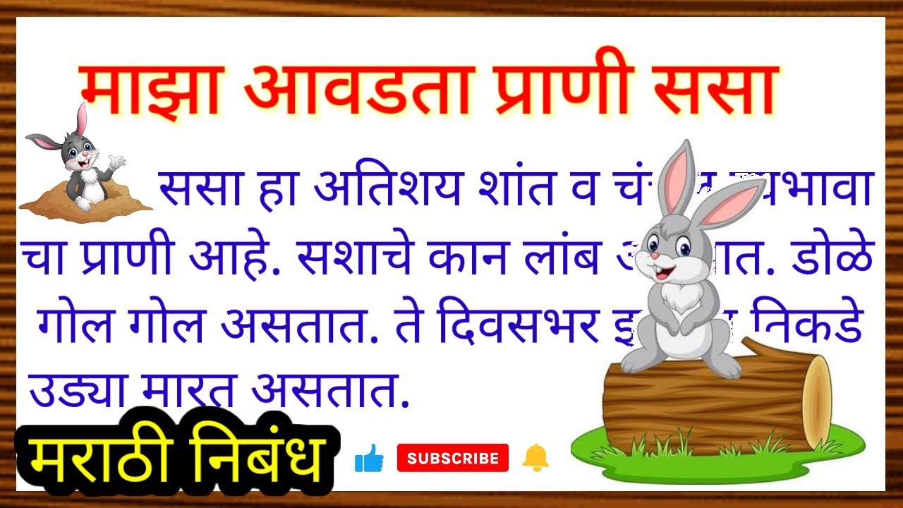 माझा आवडता प्राणी ससा निबंध मराठी // ससा निबंध // sasa nibandh marathi ...
