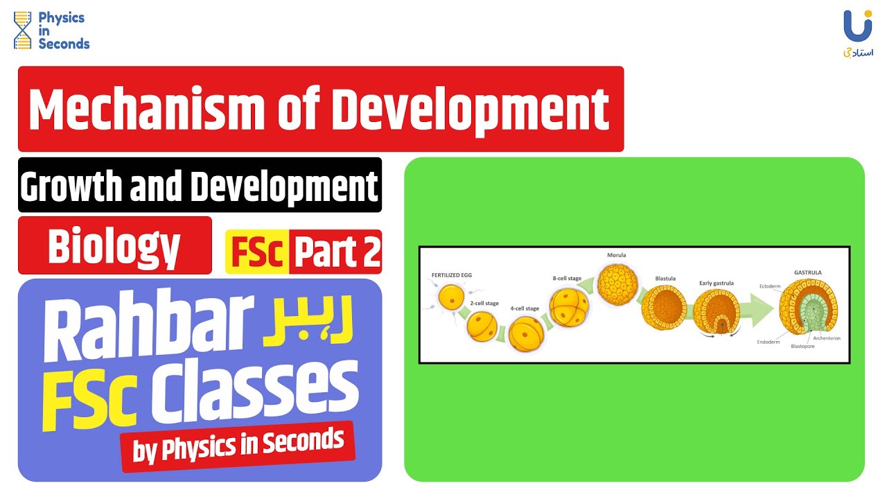 Biology - Mechanism of Development - FSc Part II - YouTube