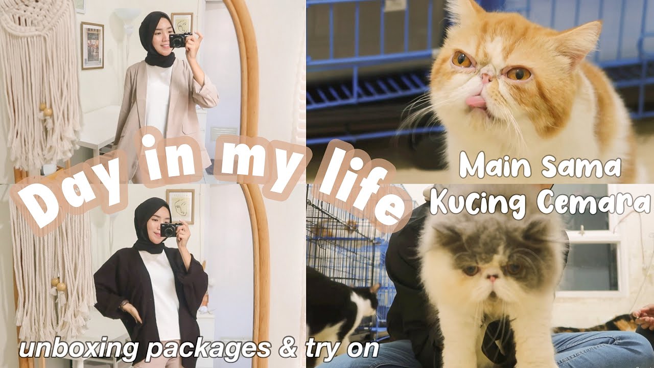 VLOG : unboxing belanjaan dan main-main sama Kucing Cemara🐈 - YouTube