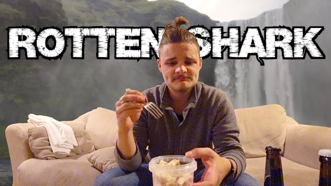 Eating Rotten Shark in Iceland - YouTube