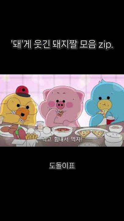 웃긴 짤 돼지 짤