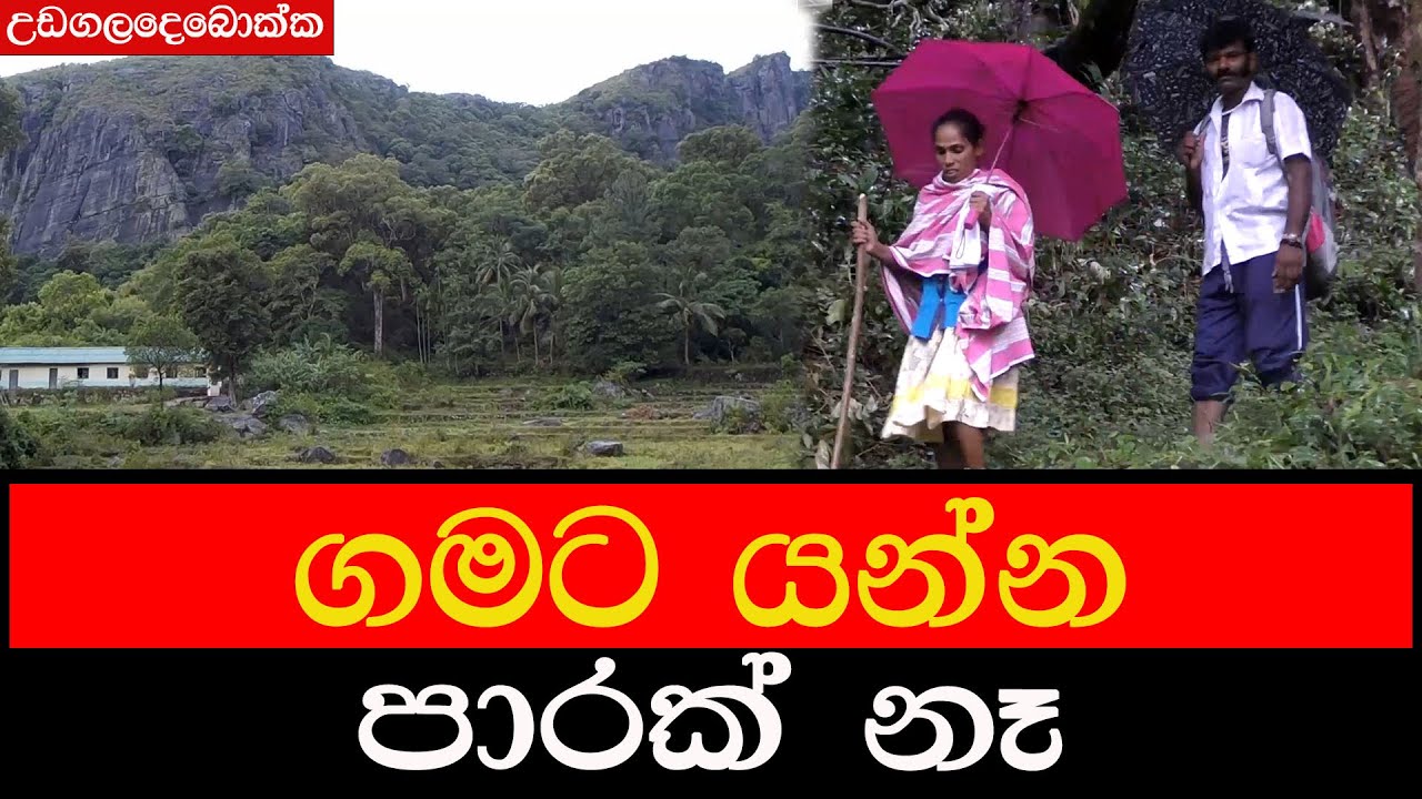 ගමට යන්න පාරක් නෑ උඩගලදෙබොක්ක Youtube