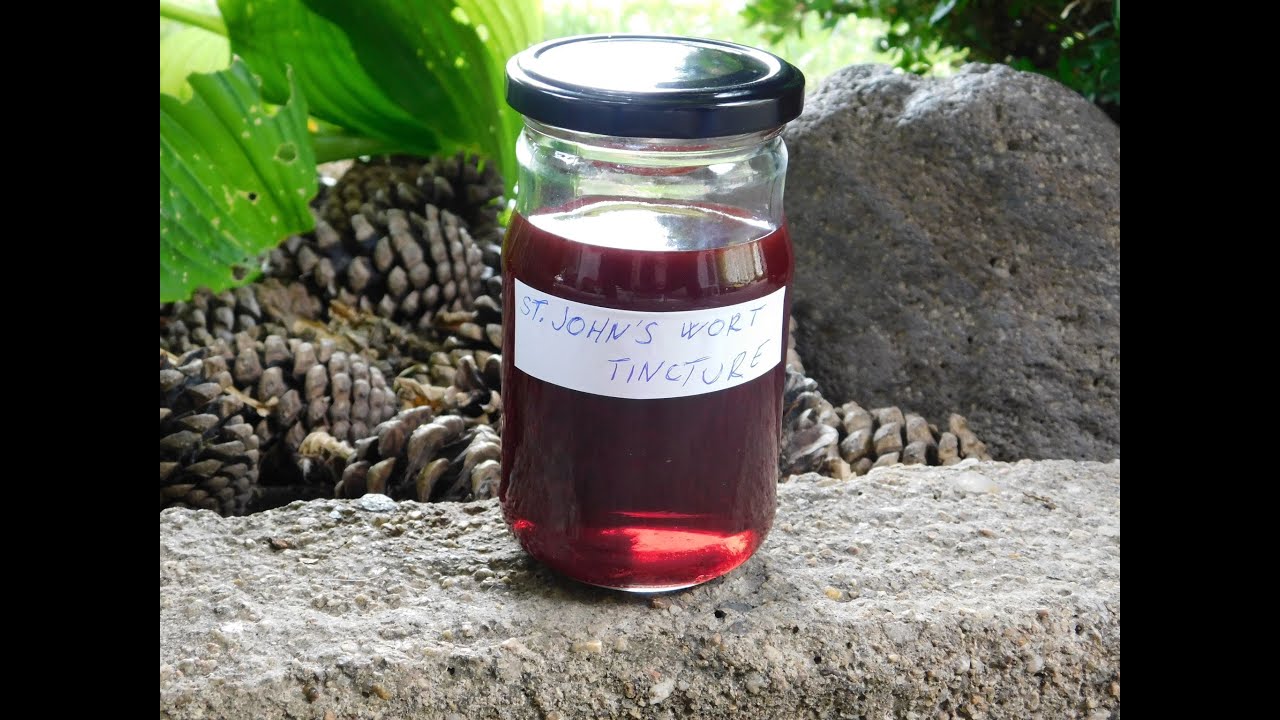 St John's Wort Tincture Recipe - YouTube