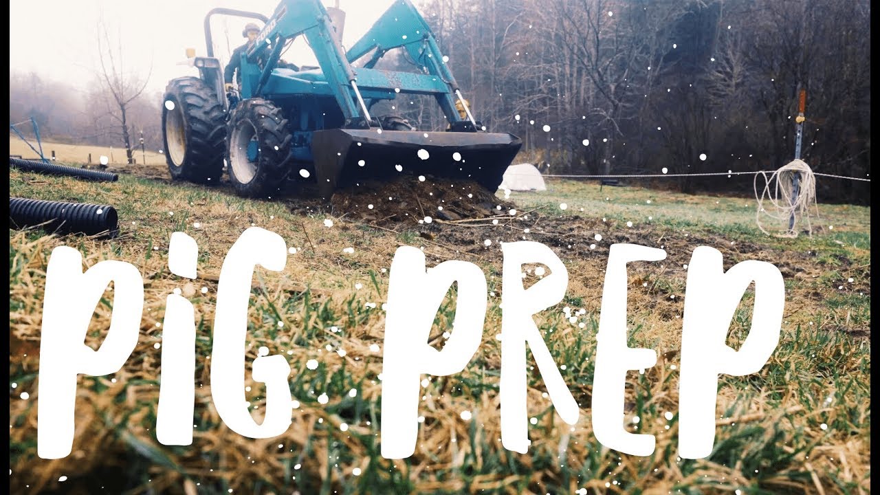 5 MUST DO Things to Prepare for PIGS (Frantic Free) - YouTube