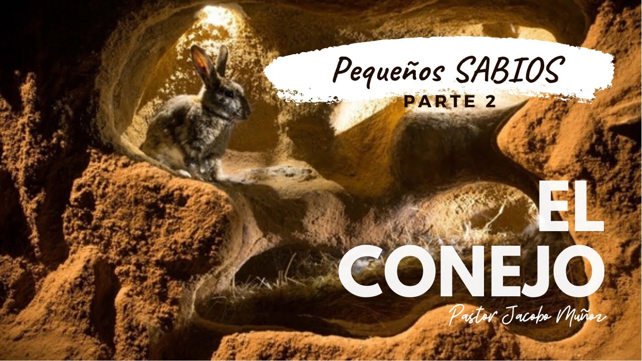 Serie: Pequeños Sabios (Parte 2) | "El Conejo" | Pastor Jacobo Muñoz ...
