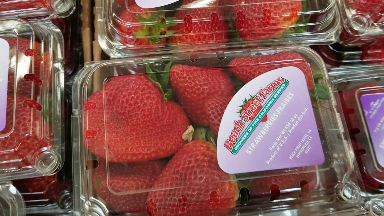 Genetically Modified Strawberries