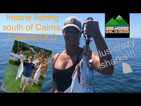 Insane fishing south of Cairns, Innisfail, QLD - YouTube
