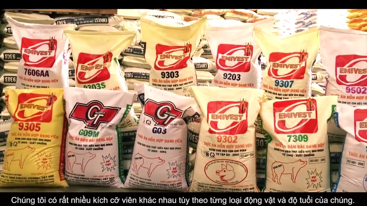 Emivest Introduce Vietnam - YouTube