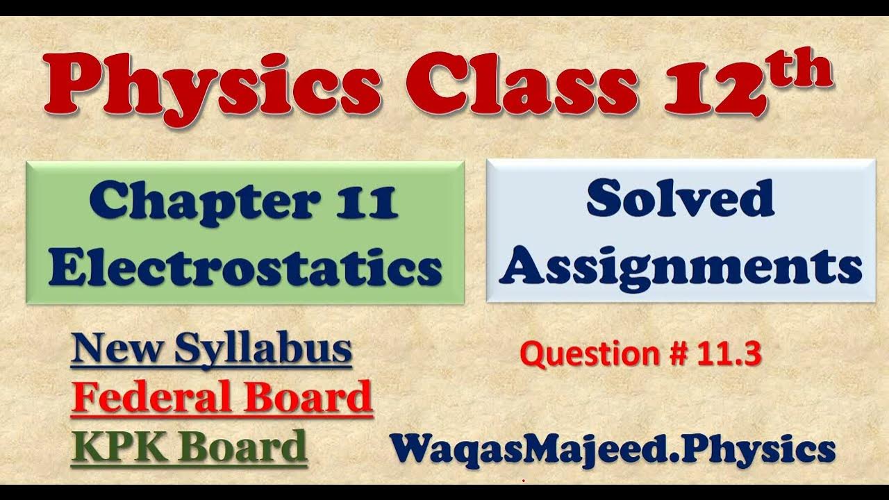 Assignment 11.3| Chapter 11 Electrostatics| Solution of Assignments| Physics 12| Solved ...