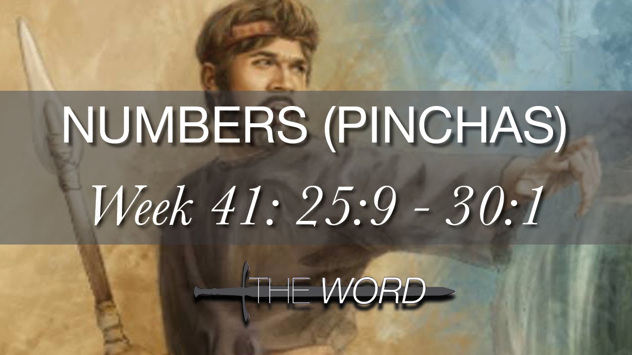 Numbers 25:9 - 30:1 - Dramatized Audio Bible - Pinchas- The Word Audio ...