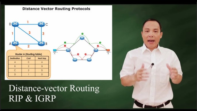 Border Gateway Protocol Distance Vector