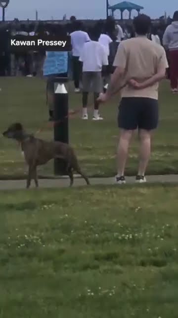 #FlashBack A large crowd of around 400 people gathered at Buckroe Beach ...