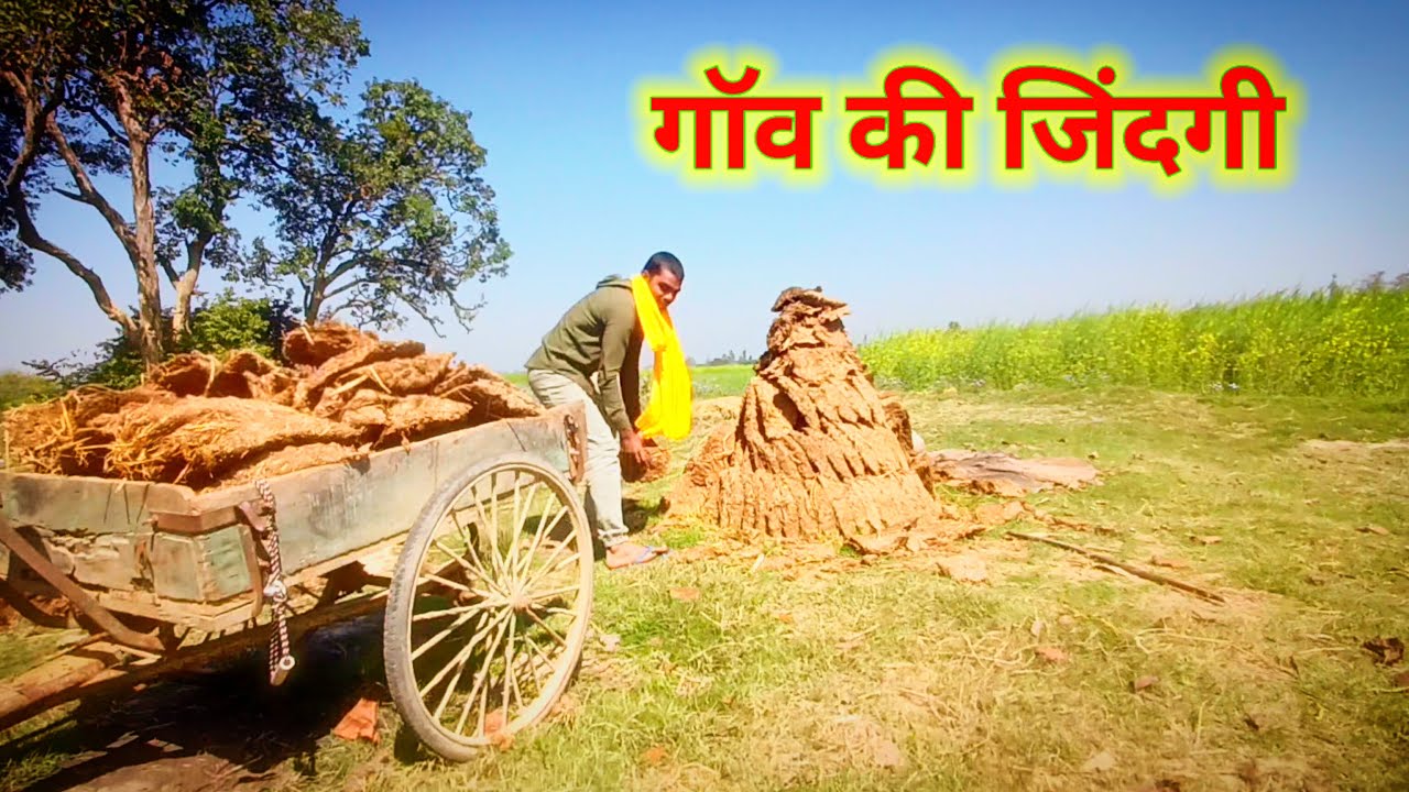 Gaon ki Jindagi / village video / ise gaon kahate hain / Gaon Ke ...