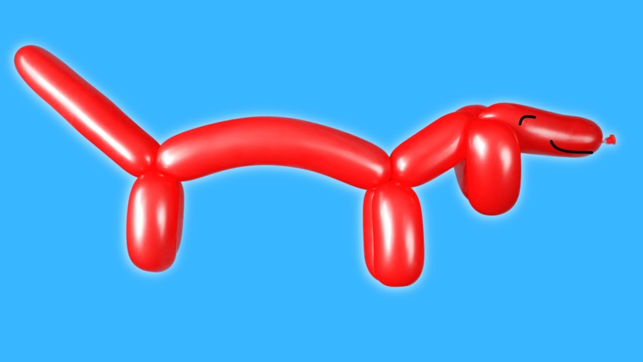Dachshund / Weiner Dog: How to Make Balloon Animals for Beginners # ...