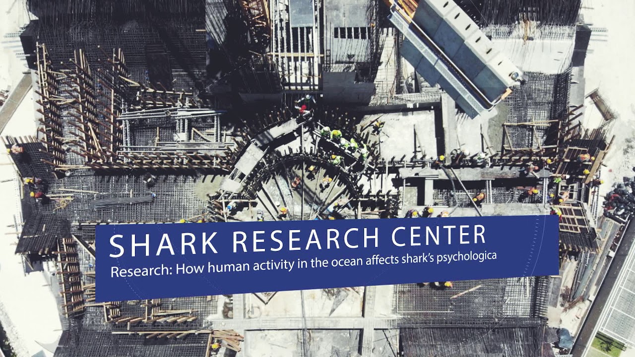 Shark Tower (English) - YouTube