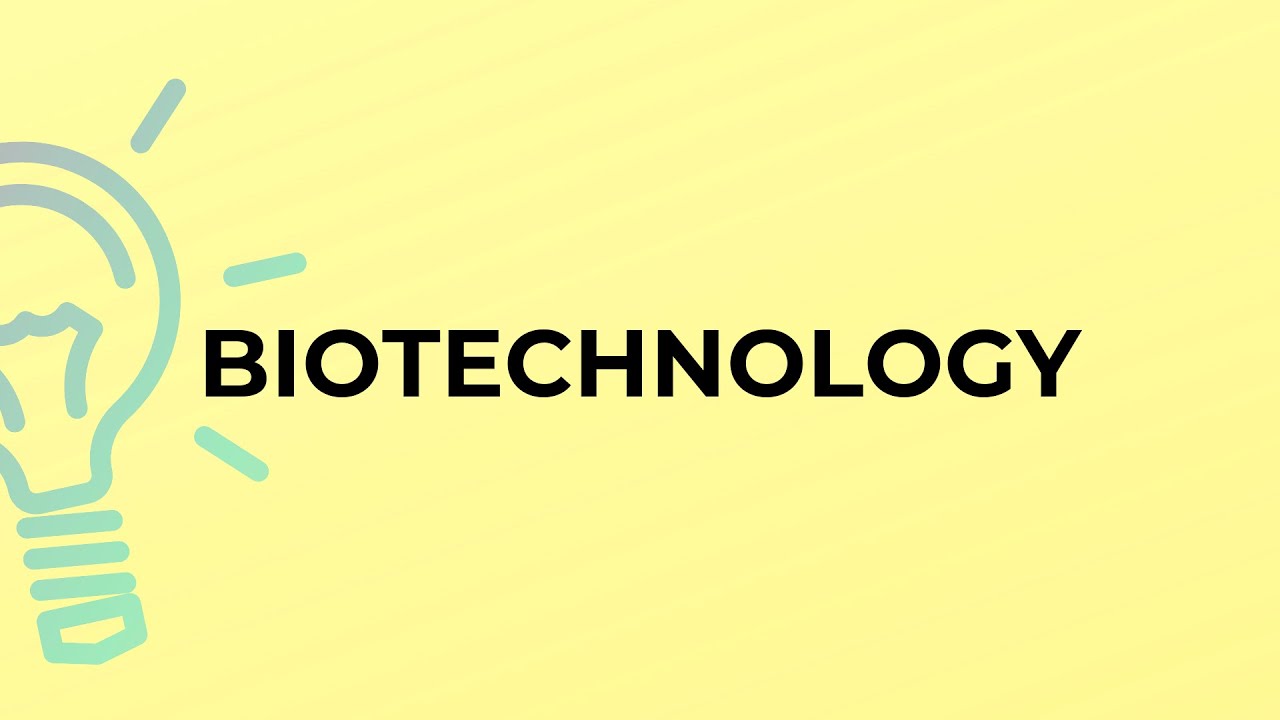 What Is The Meaning Of The Word BIOTECHNOLOGY YouTube What Is The Meaning Of The Word BIOTECHNOLOGY YouTube