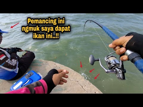 Modal Dengkul..!! Bisa mancing sampai bedug magrib disini