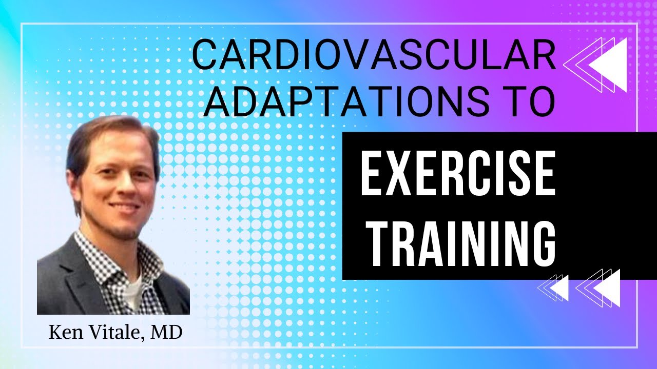 Cardiovascular Adaptations to Exercise Training | VO2max, Strength vs ...