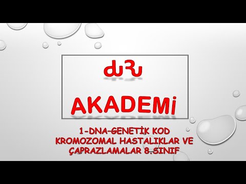 8.Sınıf Kalıtım ve Çaprazlama - DNA, Kromozomal Hastalıklar, Genetik Kod | LGS 2020