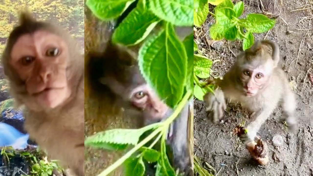 Stop Recording Me!!! - YouTube