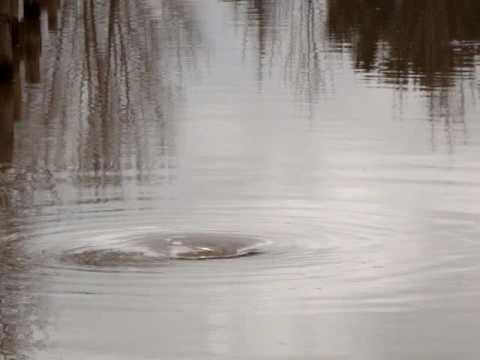 Formación de un remolino - YouTube