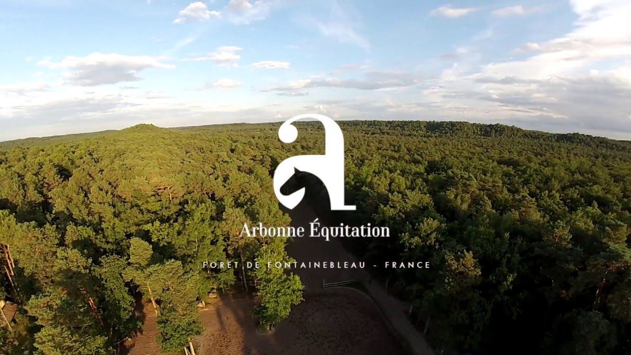 Arbonne Équitation - Cheval et poney à Fontainebleau - YouTube