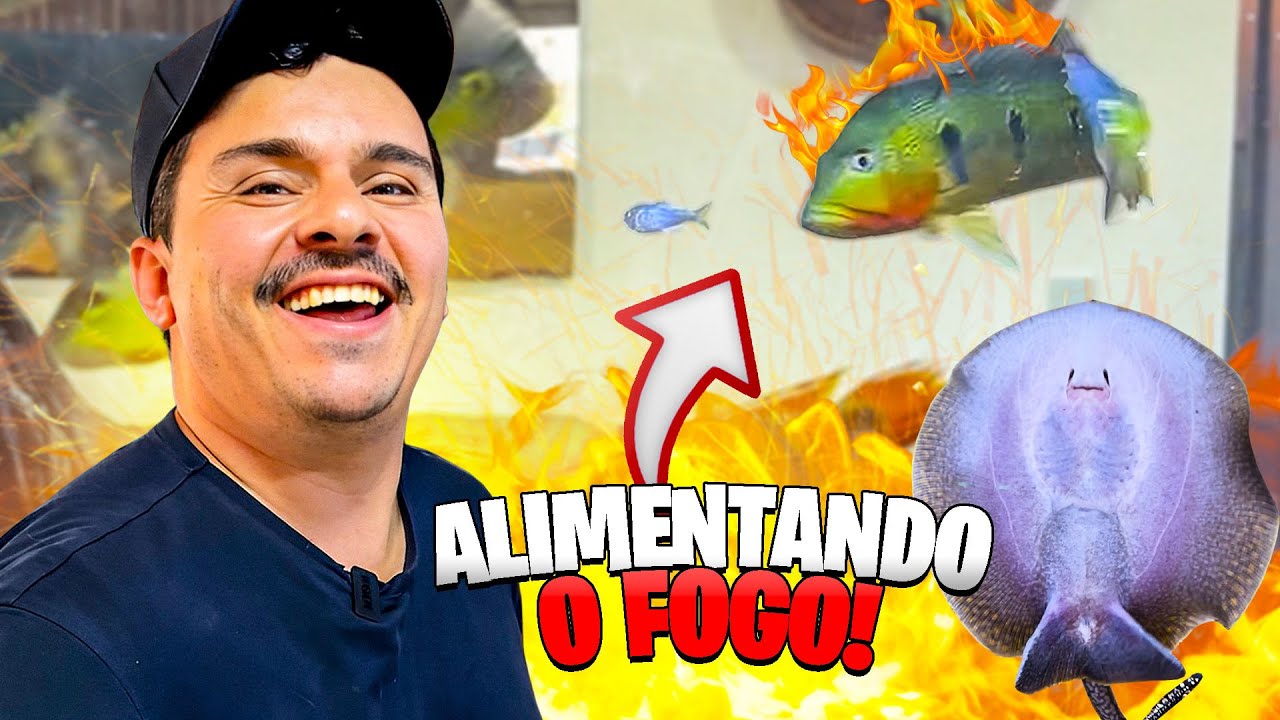 TUCUNARÉ FOGO COMENDO PEIXE VIVO, ELE É BRUTO DEMAIS ! - YouTube