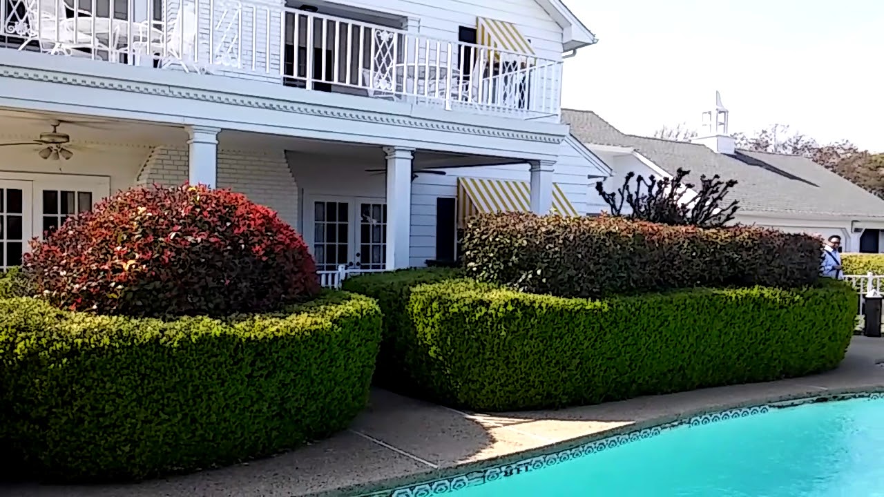 Southfork Ranch Pool Area - YouTube