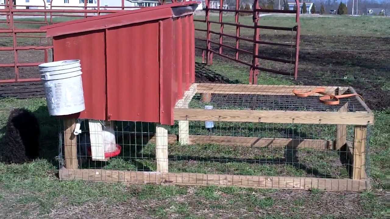 rabbit/chicken tractor - YouTube