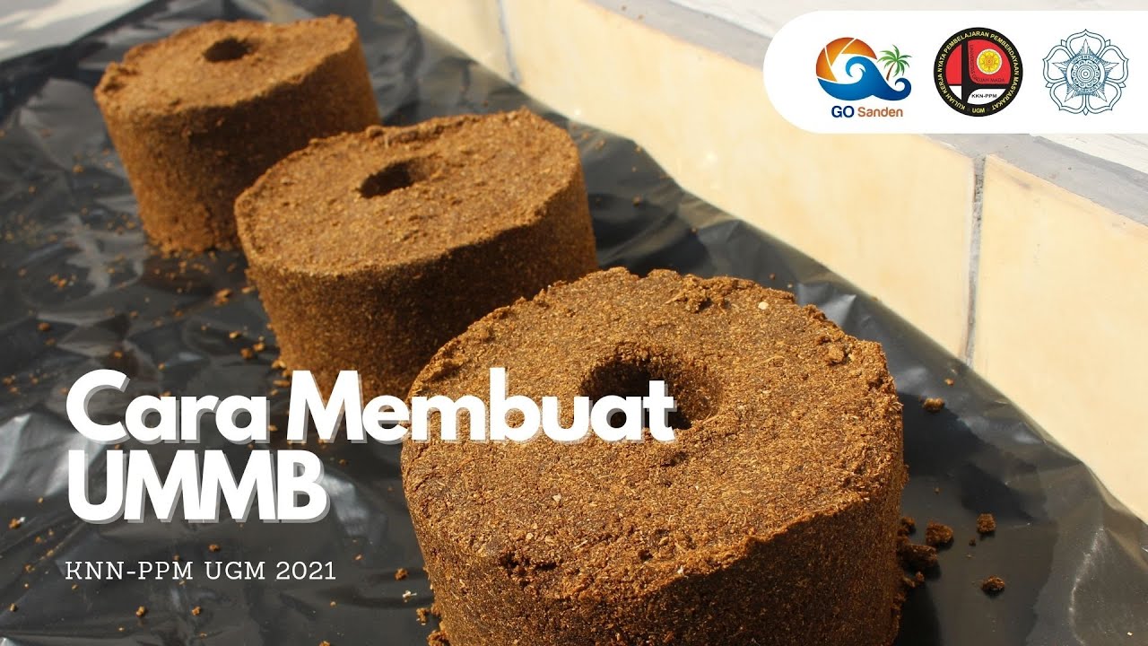 Tutorial Pembuatan UMMB (Urea Multinutrient Molases Block) - YouTube
