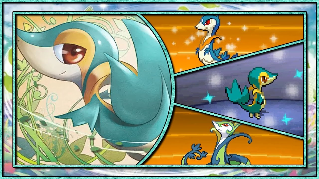 Live shiny Snivy (+Evos) on Pokemon Black 2 after 2,745 SR's! (B2 FTQ#1 ...