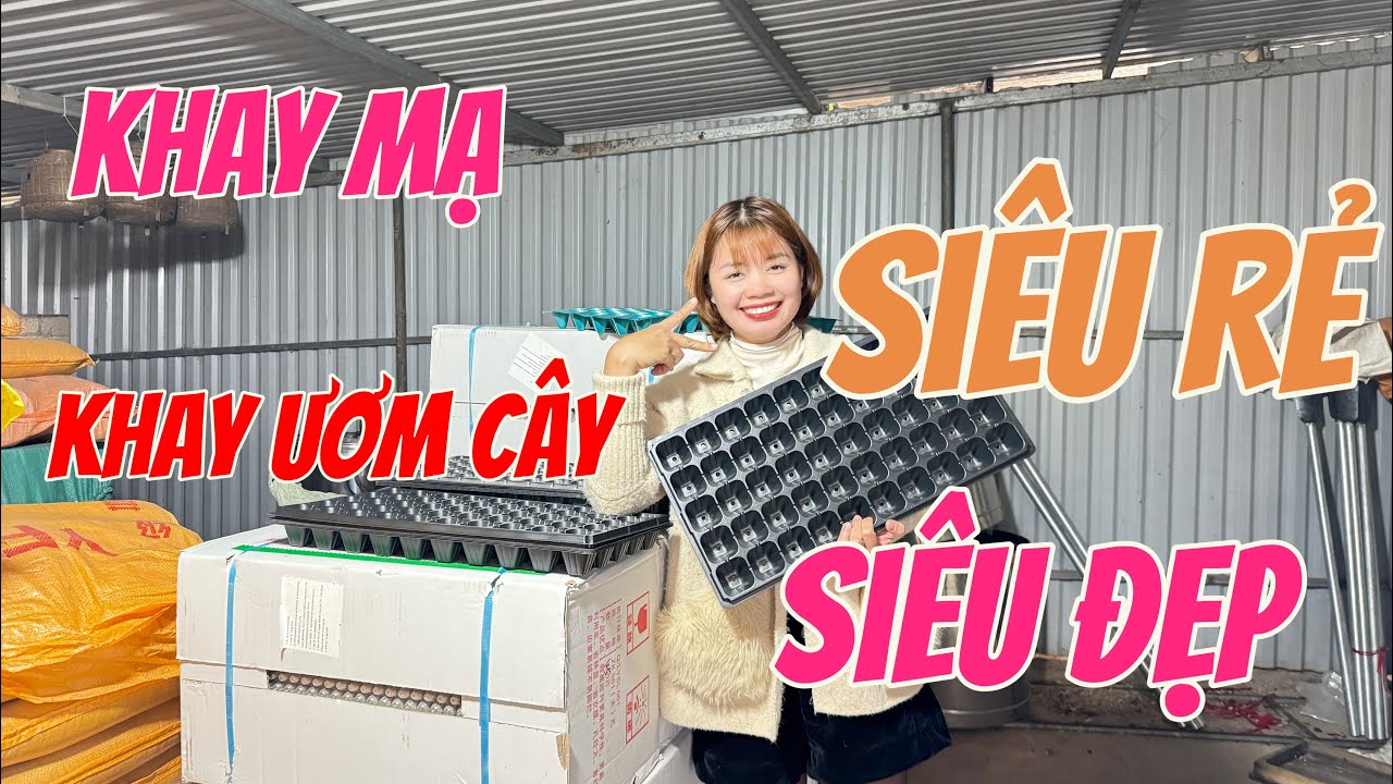 Khay mạ, khay ươm cây nhựa dẻo cao cấp đẹp nhất thị trường - YouTube