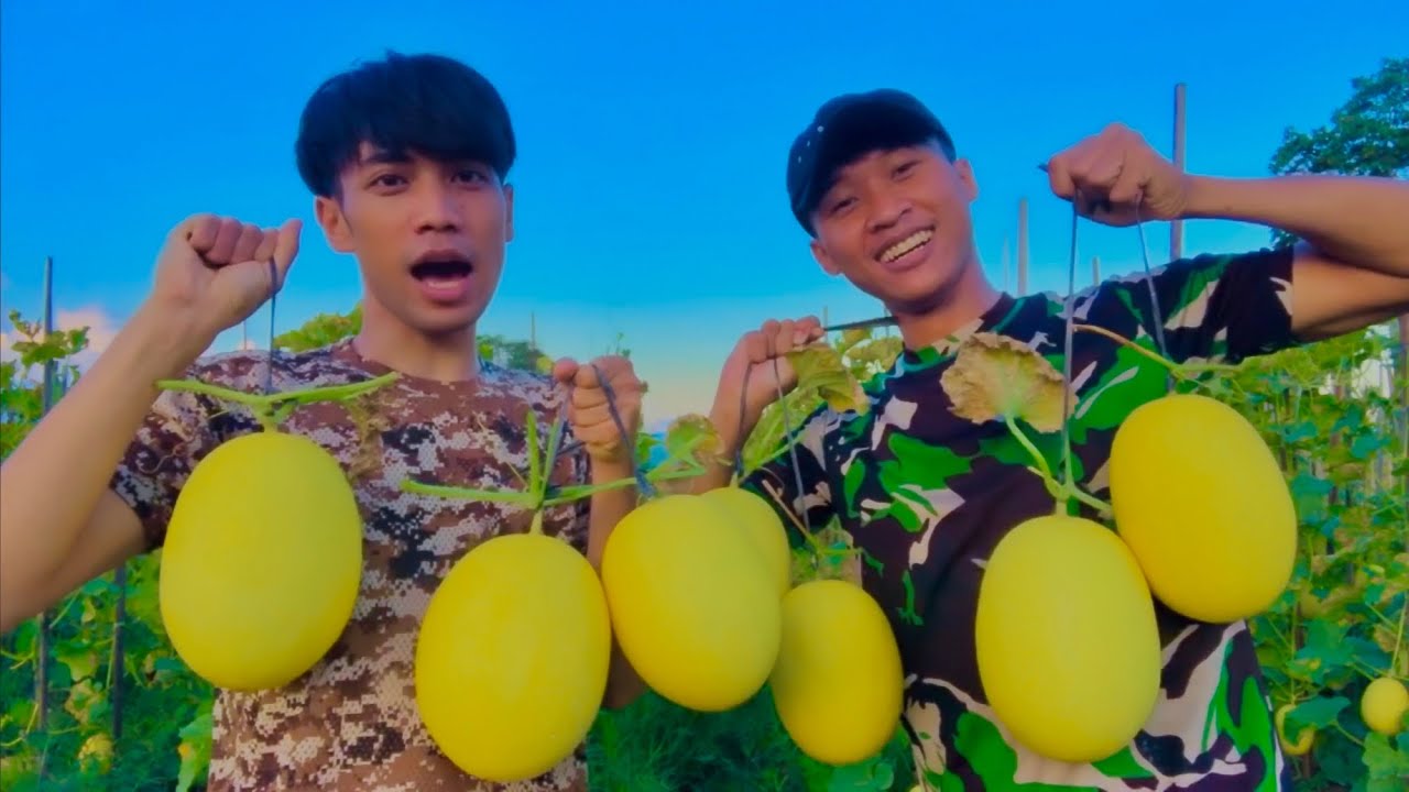 Panen Melon | Boys couple (eng sub) | Joju Daily - YouTube