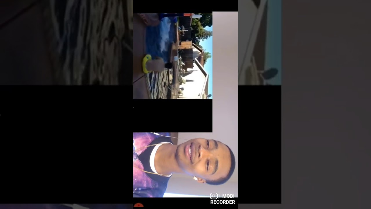 flight reacts dolphin laugh [ORIGINAL] - YouTube