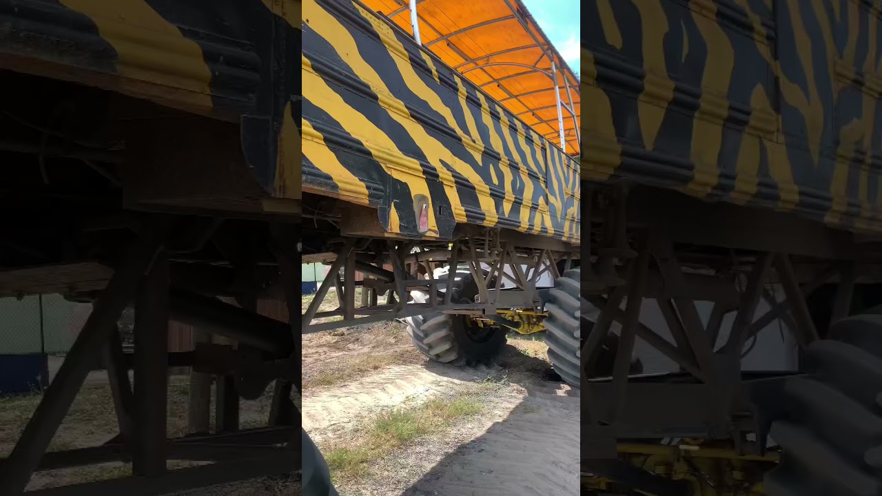 Orlando Florida Bigfoot school bus - YouTube