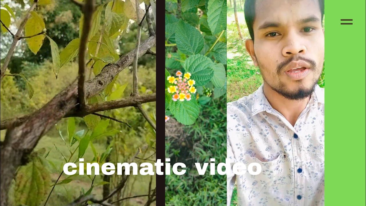 cinematic video # Assamese reels # Assamese status video #dhiraj_vlog # ...