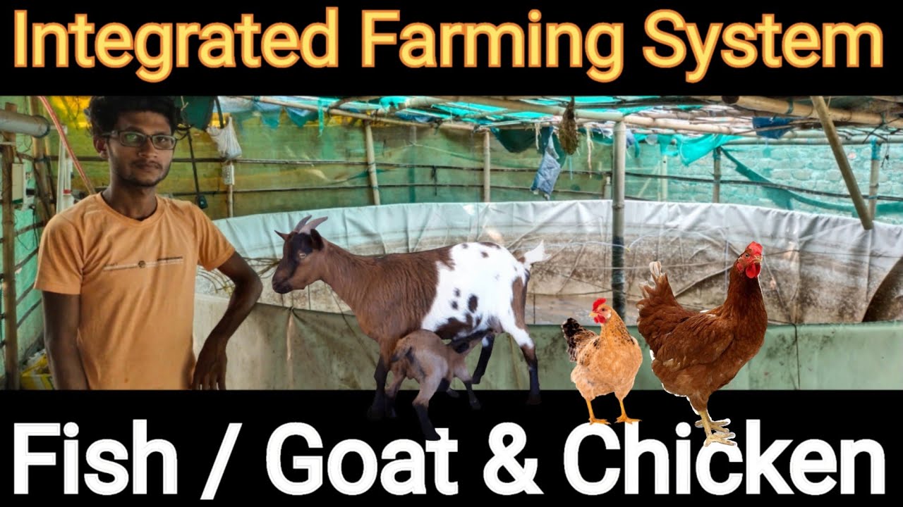 Integrated Farming : Revolutionizing Agriculture for Sustainable ...