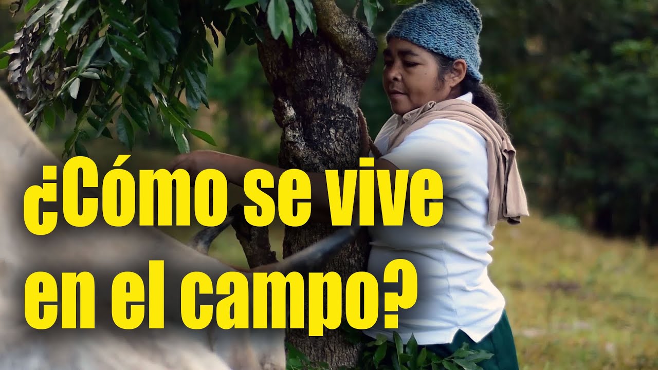 ¿COMO ES LA VIDA EN EL CAMPO? | Así es la vida rural en Carolina. - YouTube