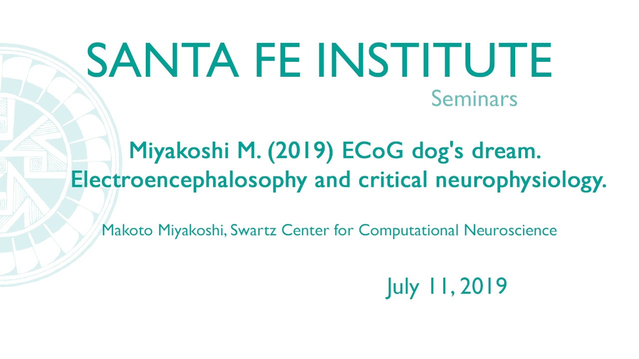 Miyakoshi M. (2019) ECoG dog's dream. Electroencephalosophy and ...