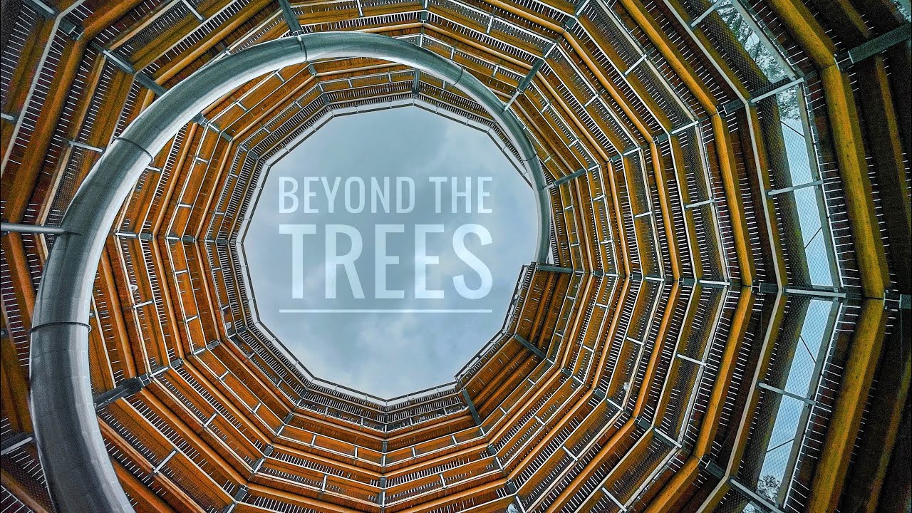 Beyond The Trees | Treetop Walk | Ireland | Wicklow #beyondthetrees # ...