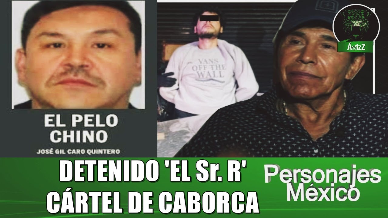 Detienen a Rubén Payán Adame, 'El Sr. R', sobrino de Caro Quintero ...